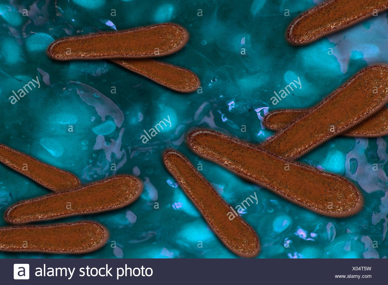 Bacteria Body High Resolution Stock Photography and Images - Alamy