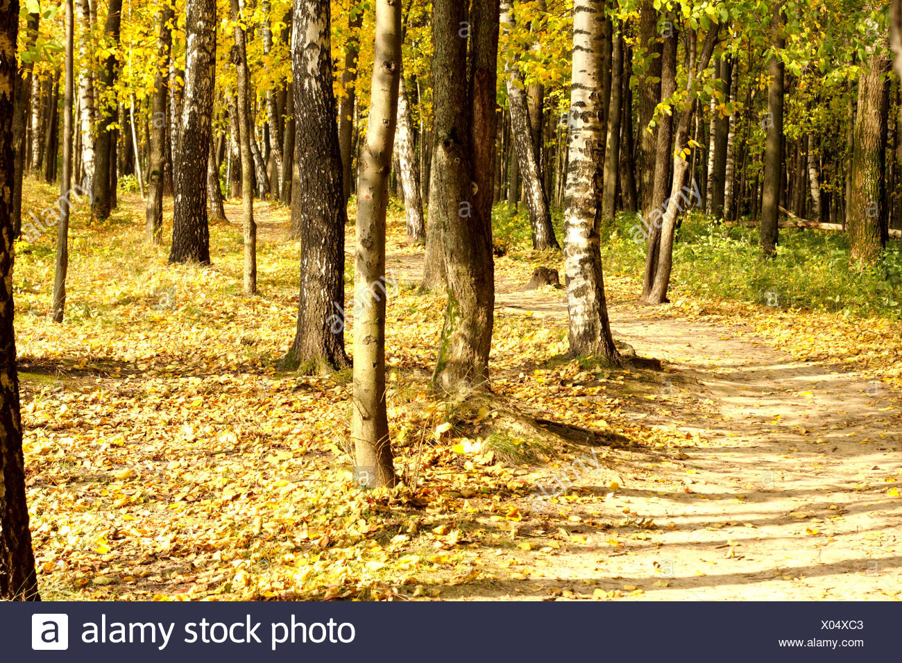 Curved Path High Resolution Stock Photography and Images - Alamy