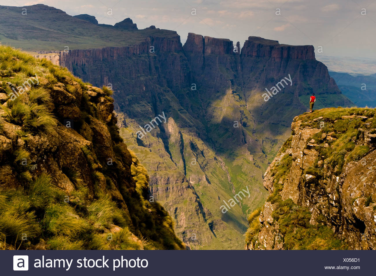 Devils Tooth High Resolution Stock Photography and Images - Alamy