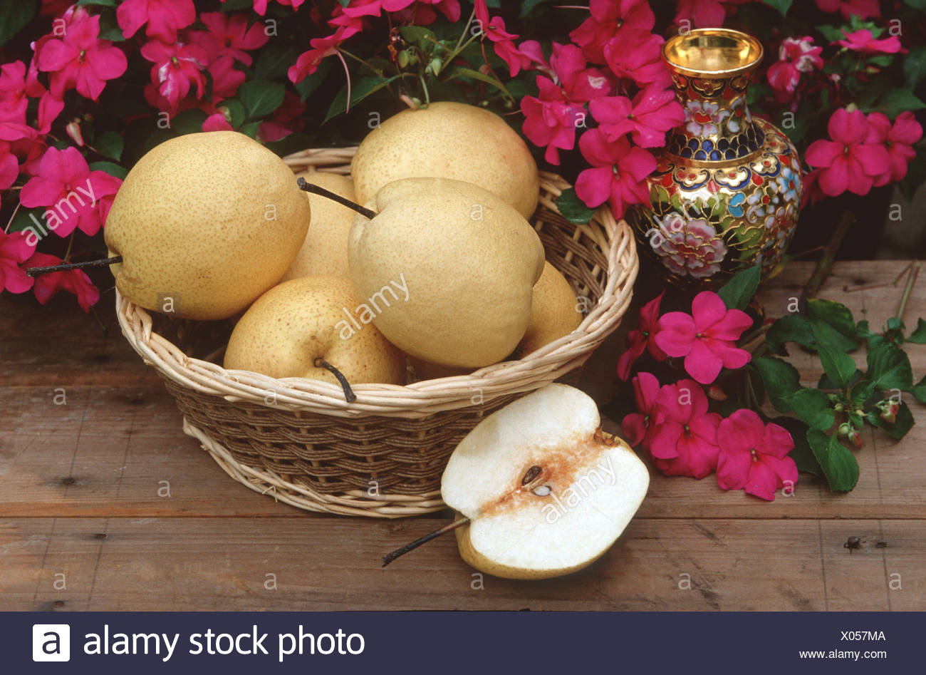 Asian Pear Shinseiki High Resolution Stock Photography and Images - Alamy