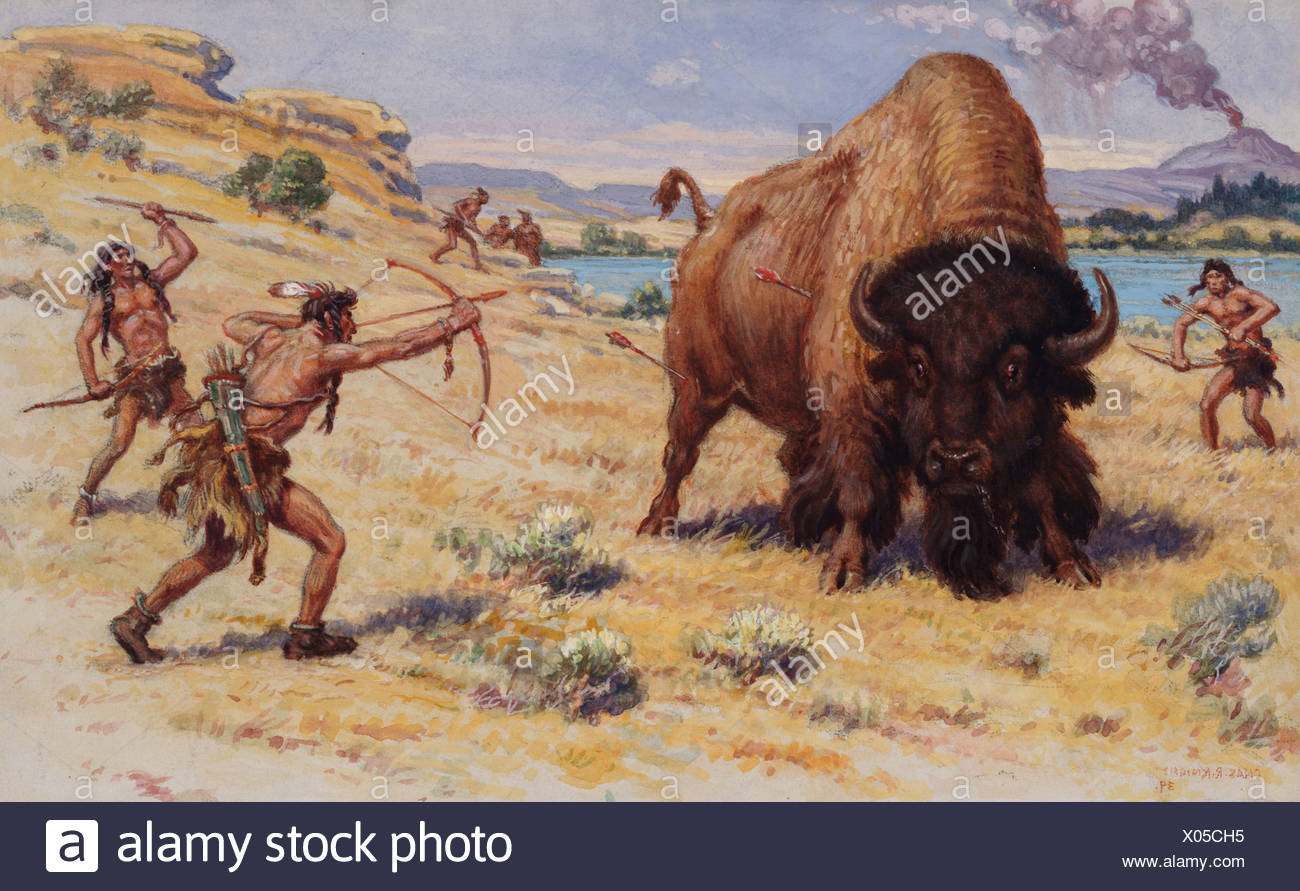 Illustration Of Bison Stock Photos & Illustration Of Bison Stock Images ...
