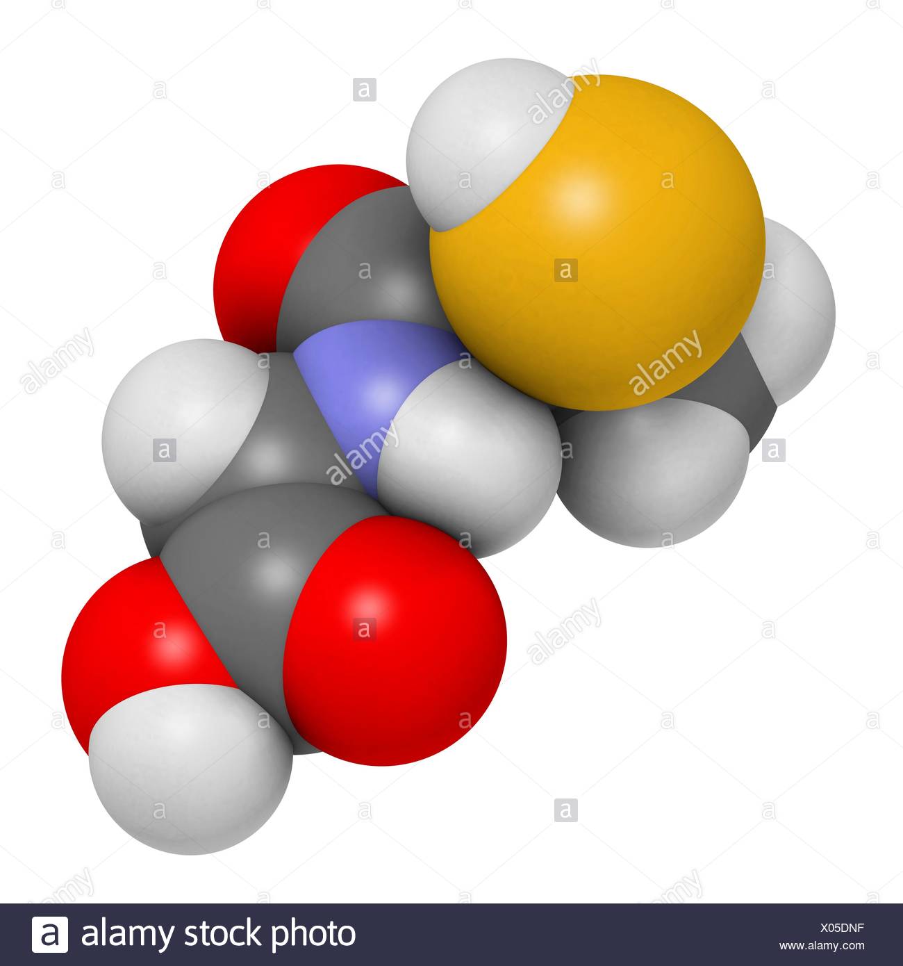 Cysteine Molecule High Resolution Stock Photography and Images - Alamy