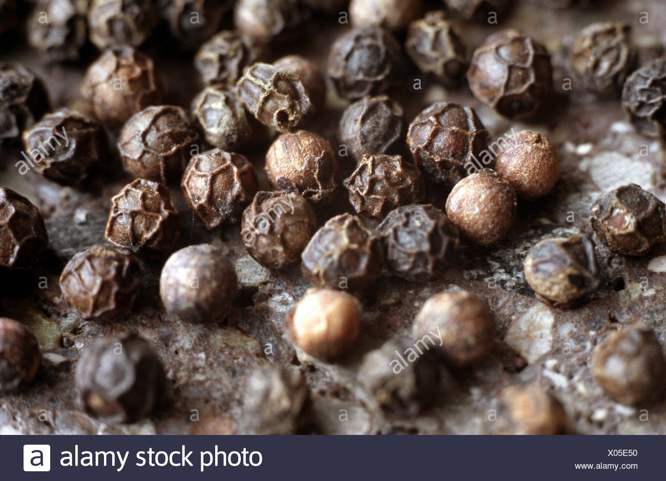 Piper Nigrum Stock Photos & Piper Nigrum Stock Images - Alamy