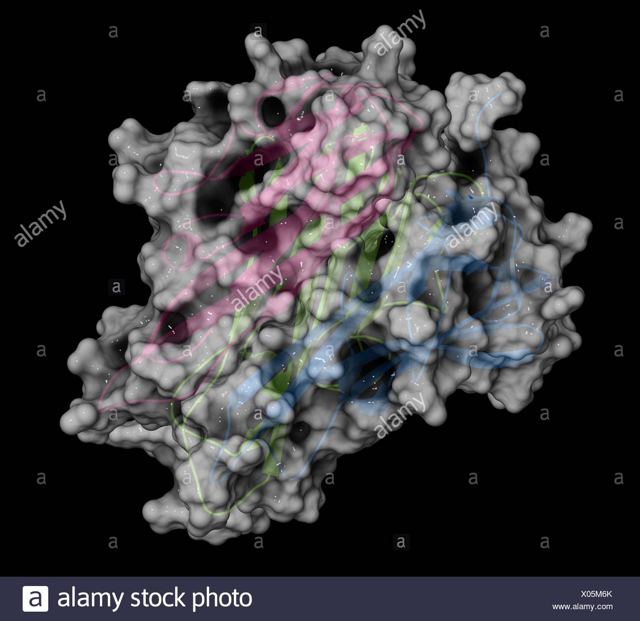 Necrosis Factor Alpha High Resolution Stock Photography and Images - Alamy