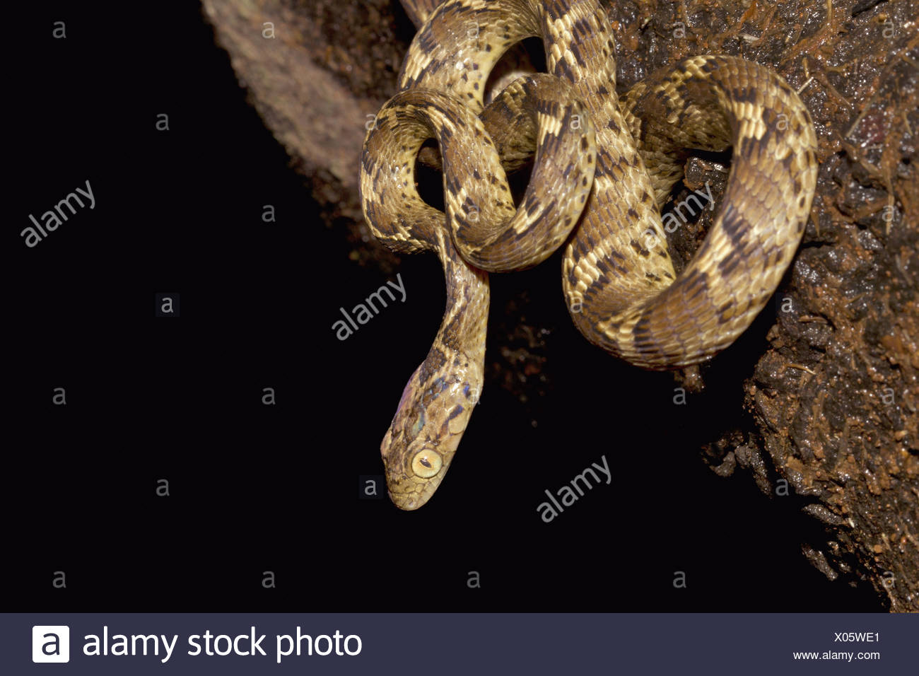 Verticle Image High Resolution Stock Photography and Images - Alamy