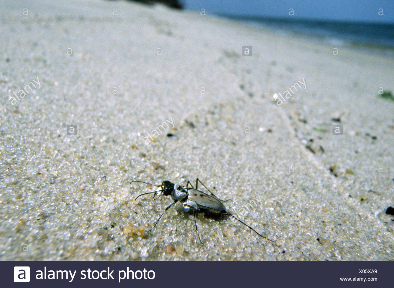 Smith Point High Resolution Stock Photography and Images - Alamy