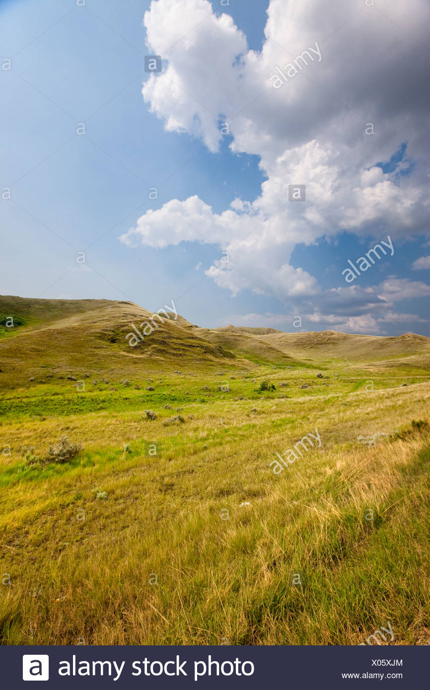 Saskatchewan Landing Provincial Park High Resolution Stock Photography ...