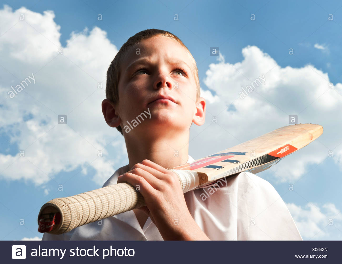 Bat Head High Resolution Stock Photography and Images - Alamy