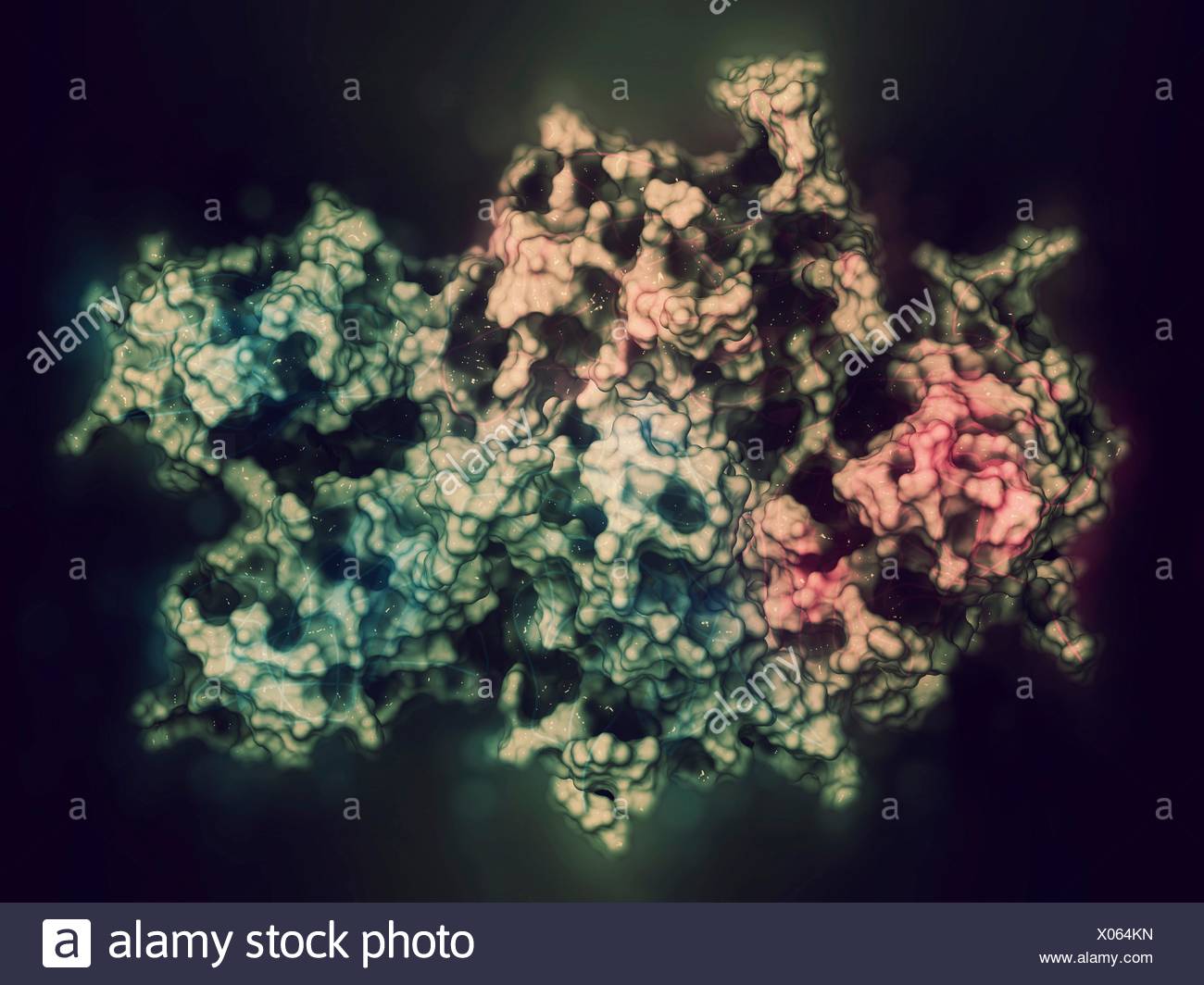 Blood Coagulation Factor High Resolution Stock Photography and Images ...