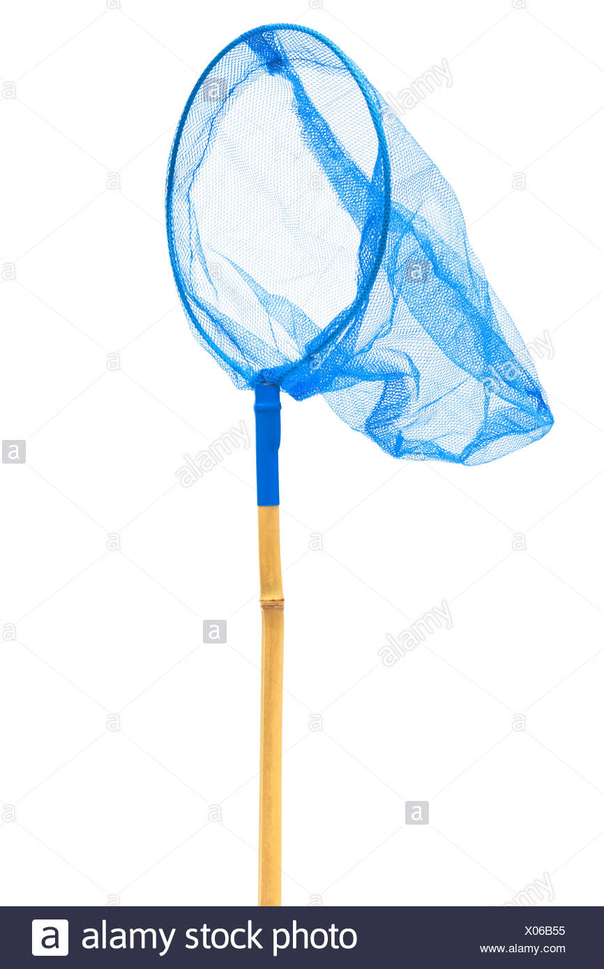 Butterfly Net Cut Out Stock Images & Pictures - Alamy