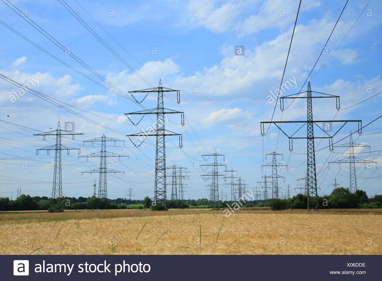Grain Field And Power Supply High Resolution Stock Photography and ...