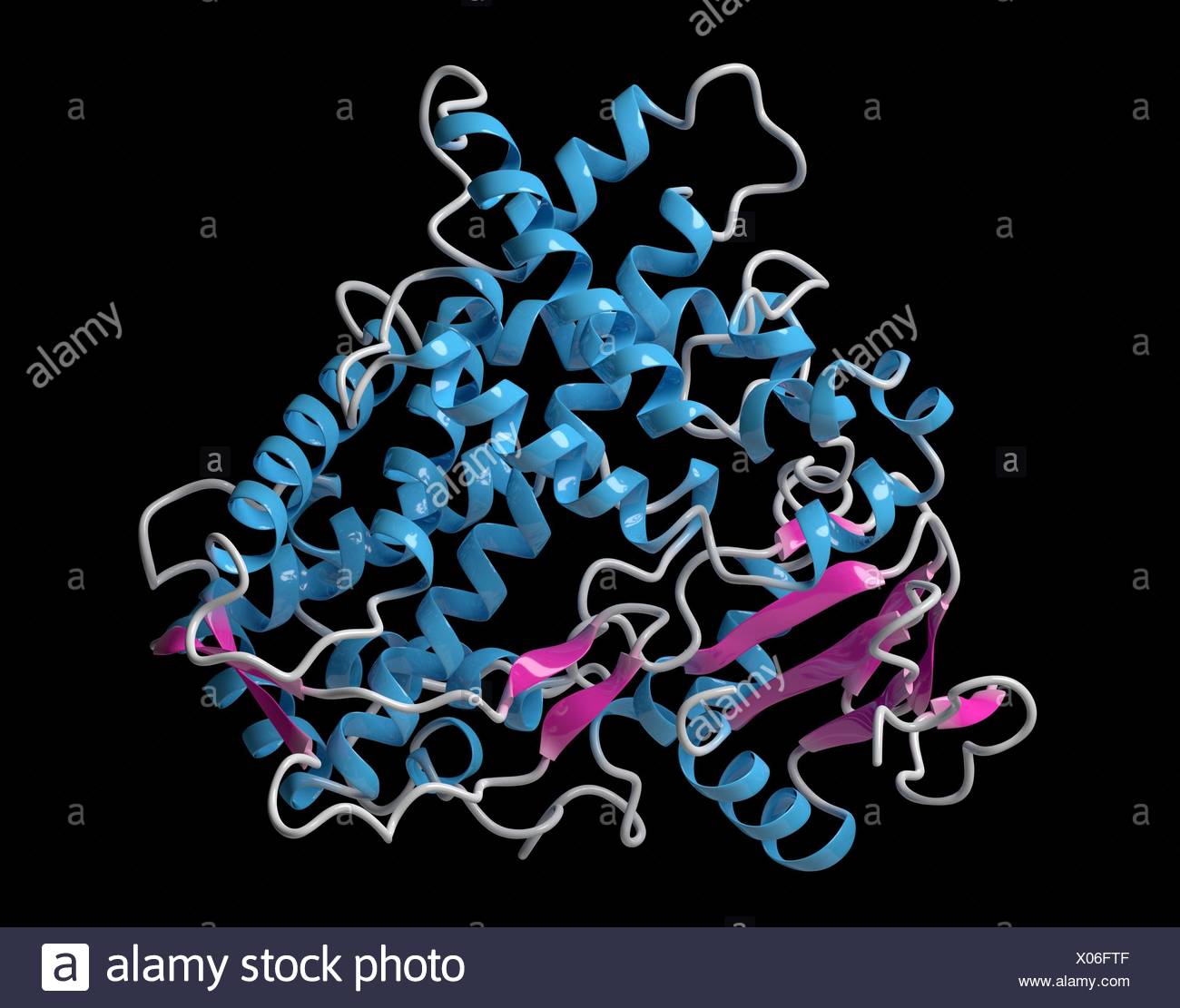 Enzyme Substrate Complex High Resolution Stock Photography and Images ...
