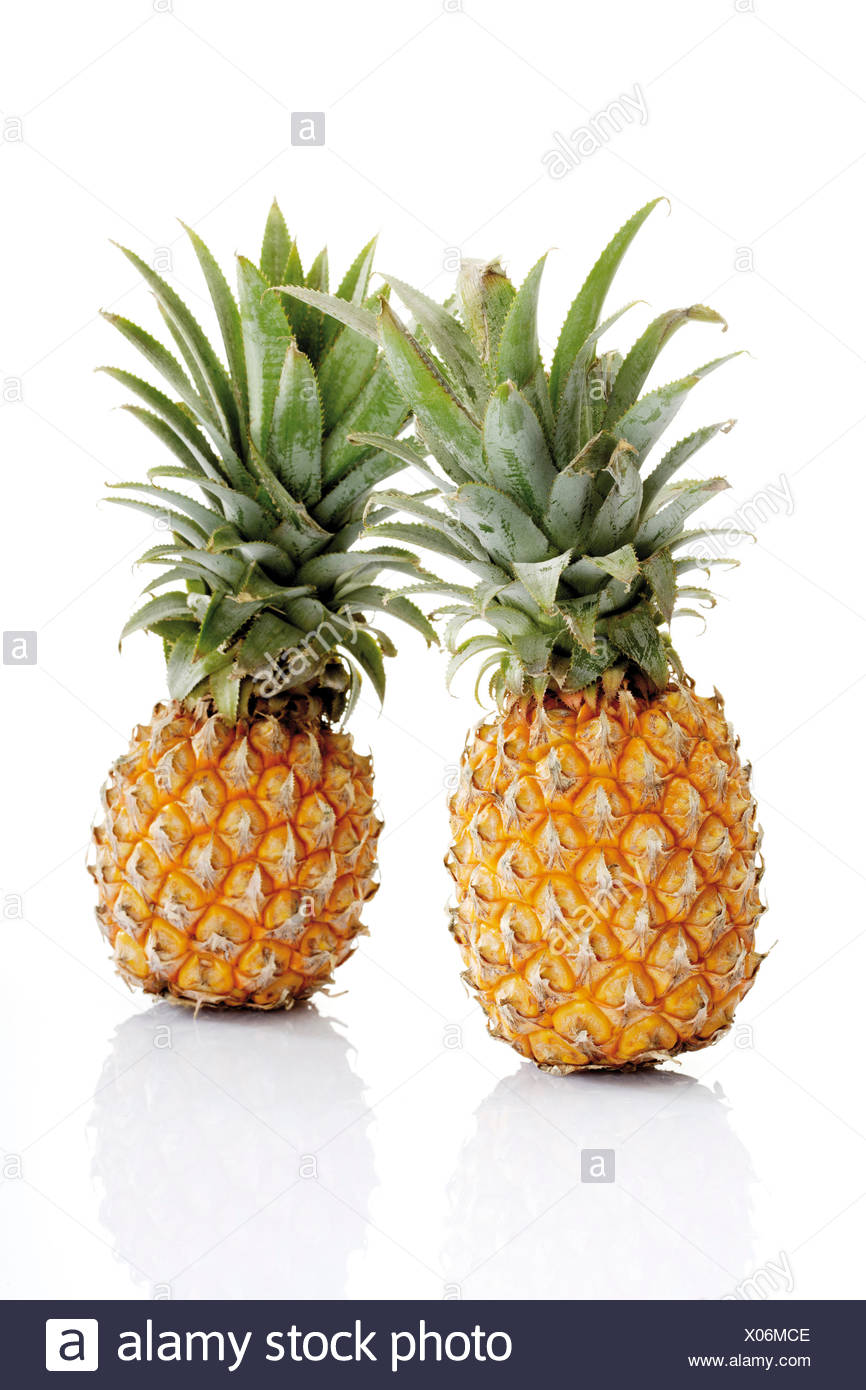 Miniature Pineapple High Resolution Stock Photography and Images - Alamy
