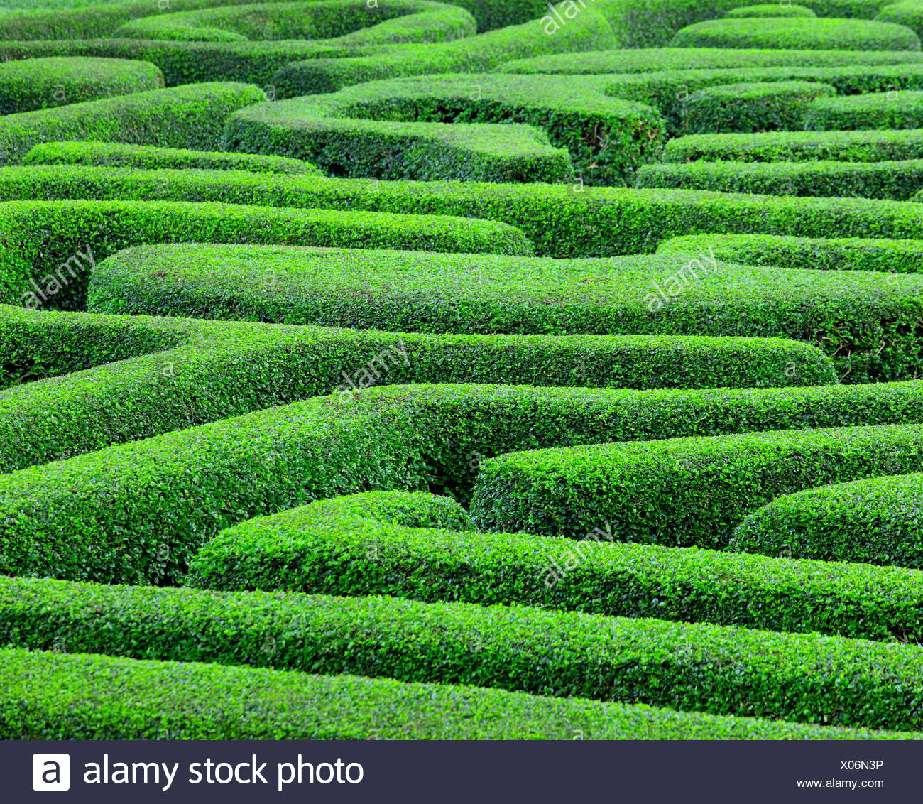 Hedge Maze Above High Resolution Stock Photography and Images - Alamy