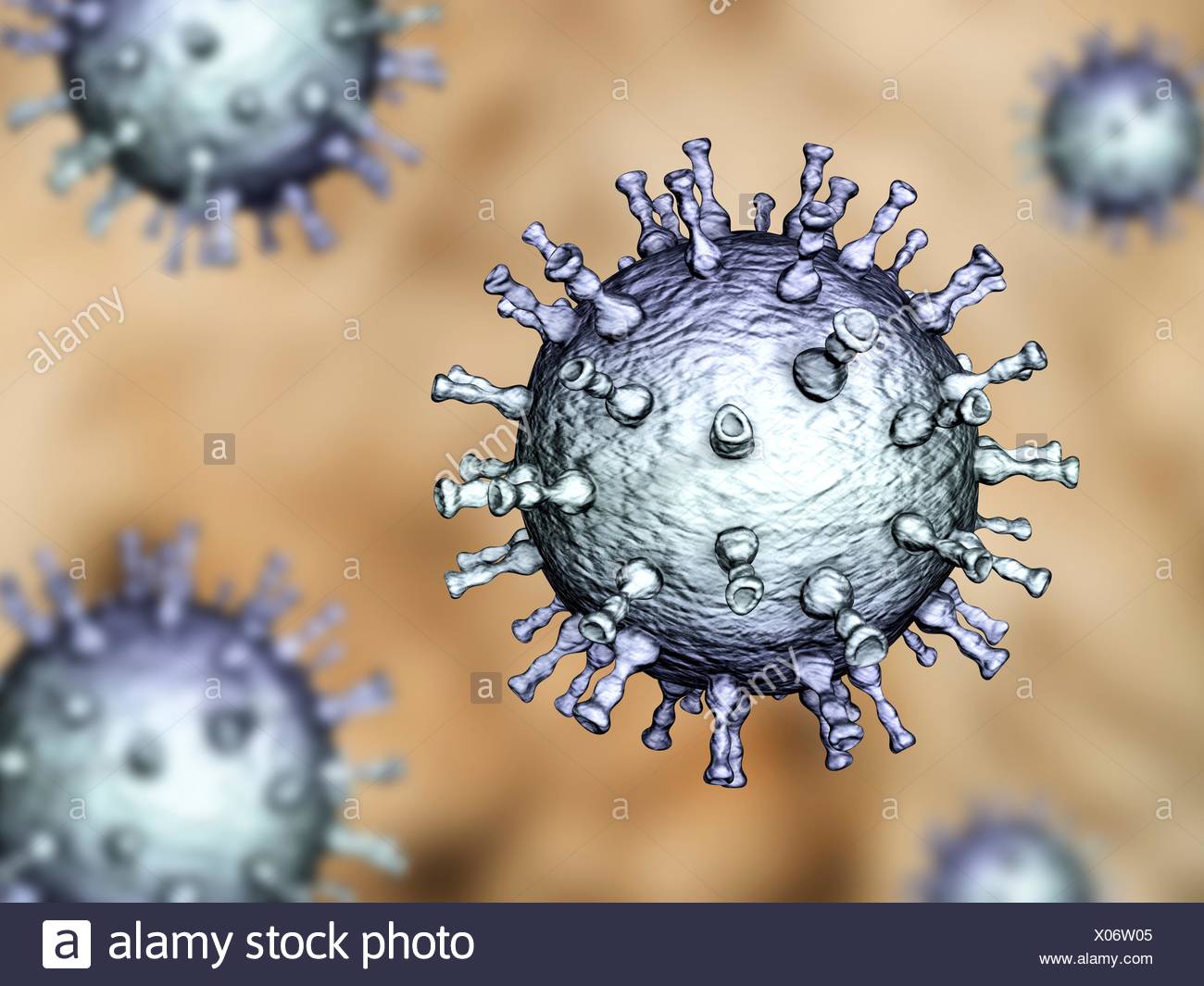 Varicella Zoster Virions High Resolution Stock Photography and Images ...