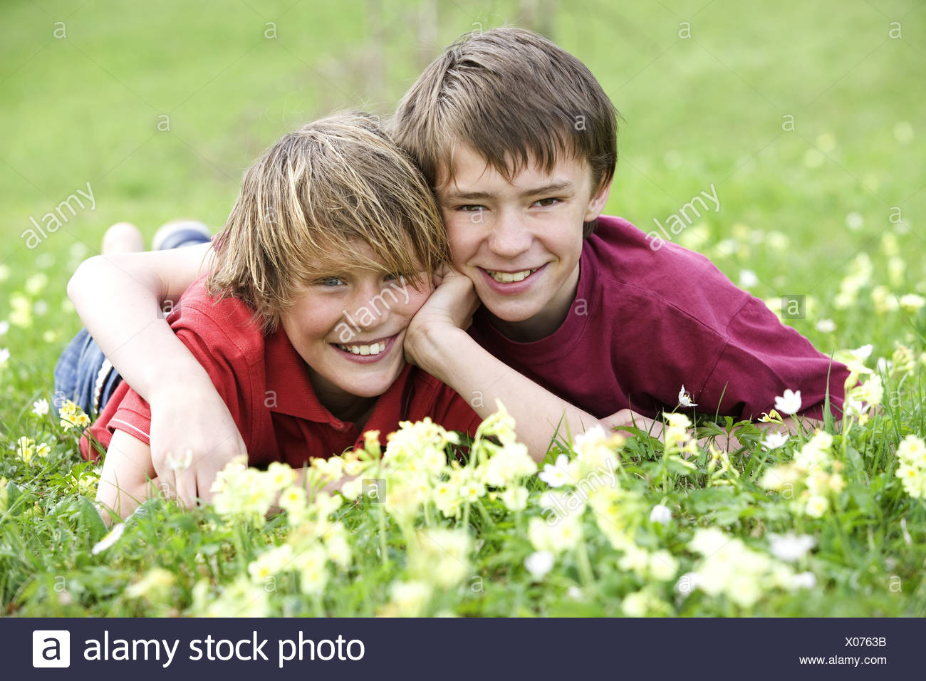 Amicably Stock Photos & Amicably Stock Images - Alamy