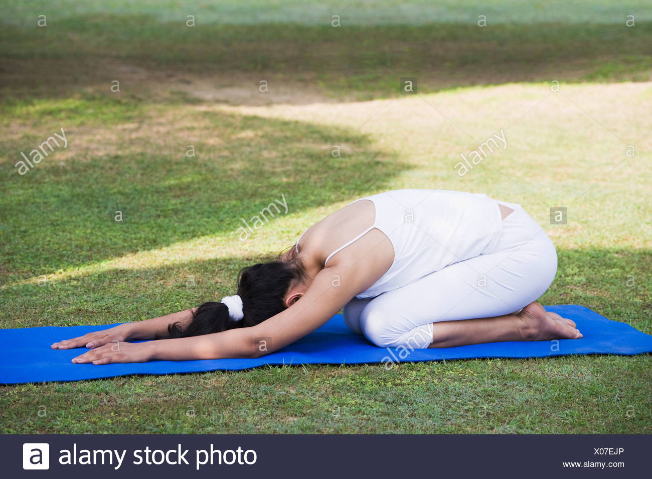 Hare Pose High Resolution Stock Photography and Images - Alamy