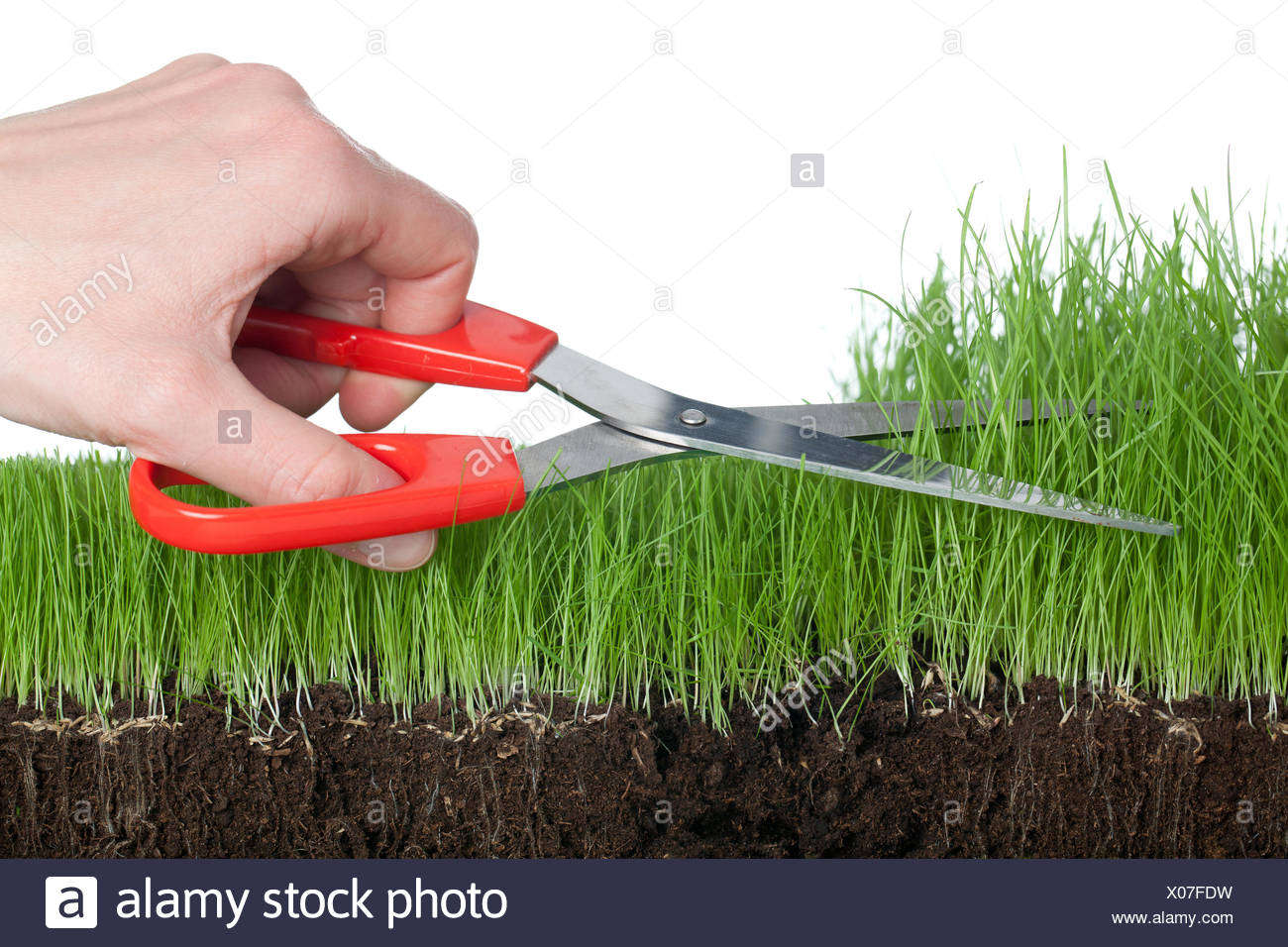 Gardening Scissors Stock Photos & Gardening Scissors Stock Images - Alamy
