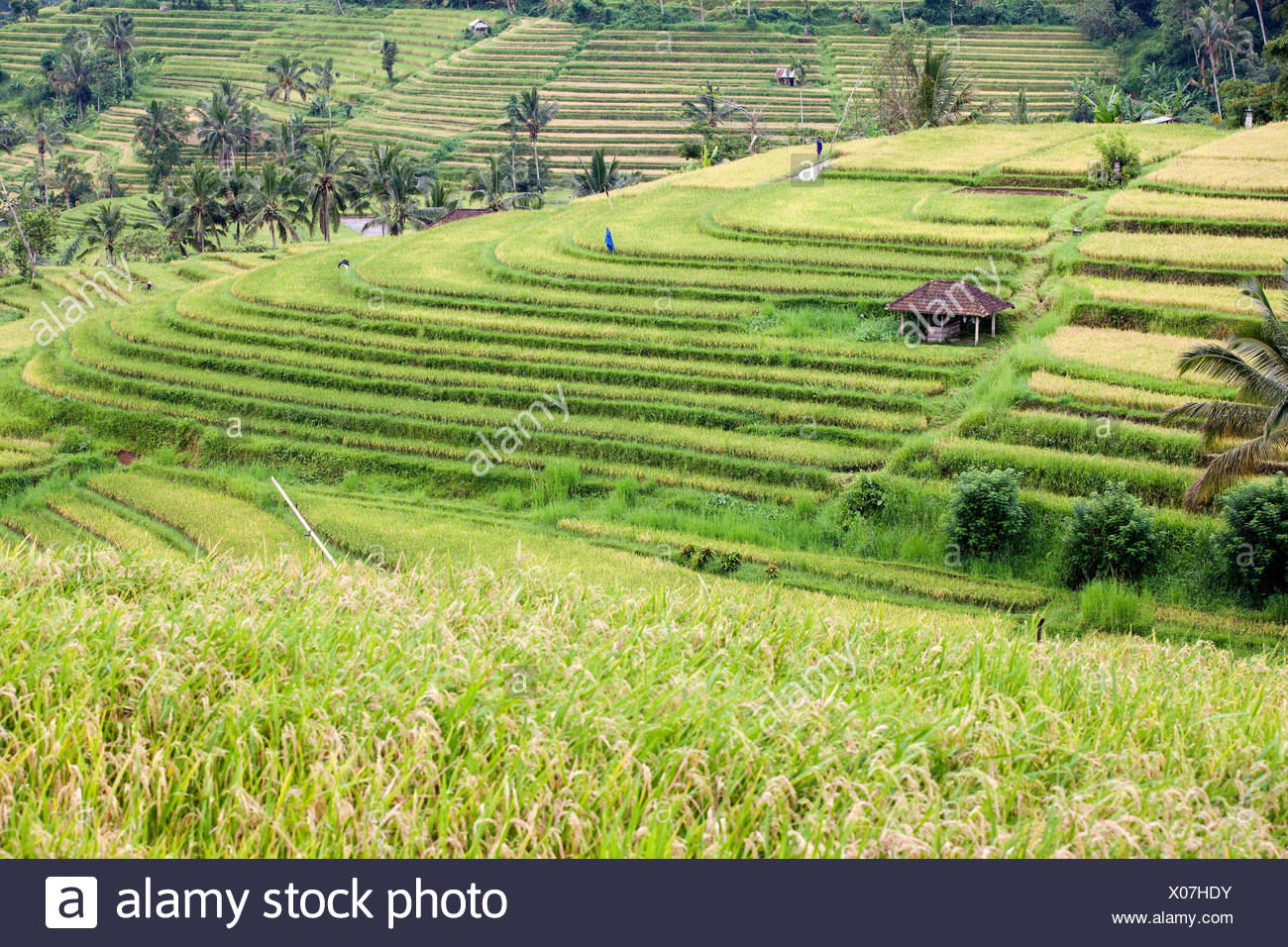 Lombok Island High Resolution Stock Photography and Images - Alamy