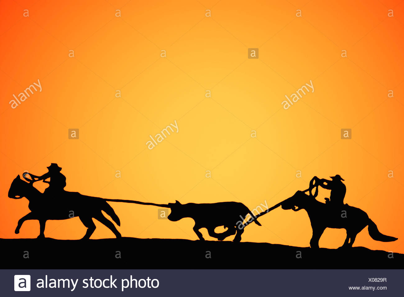 Calf Roping High Resolution Stock Photography and Images - Alamy