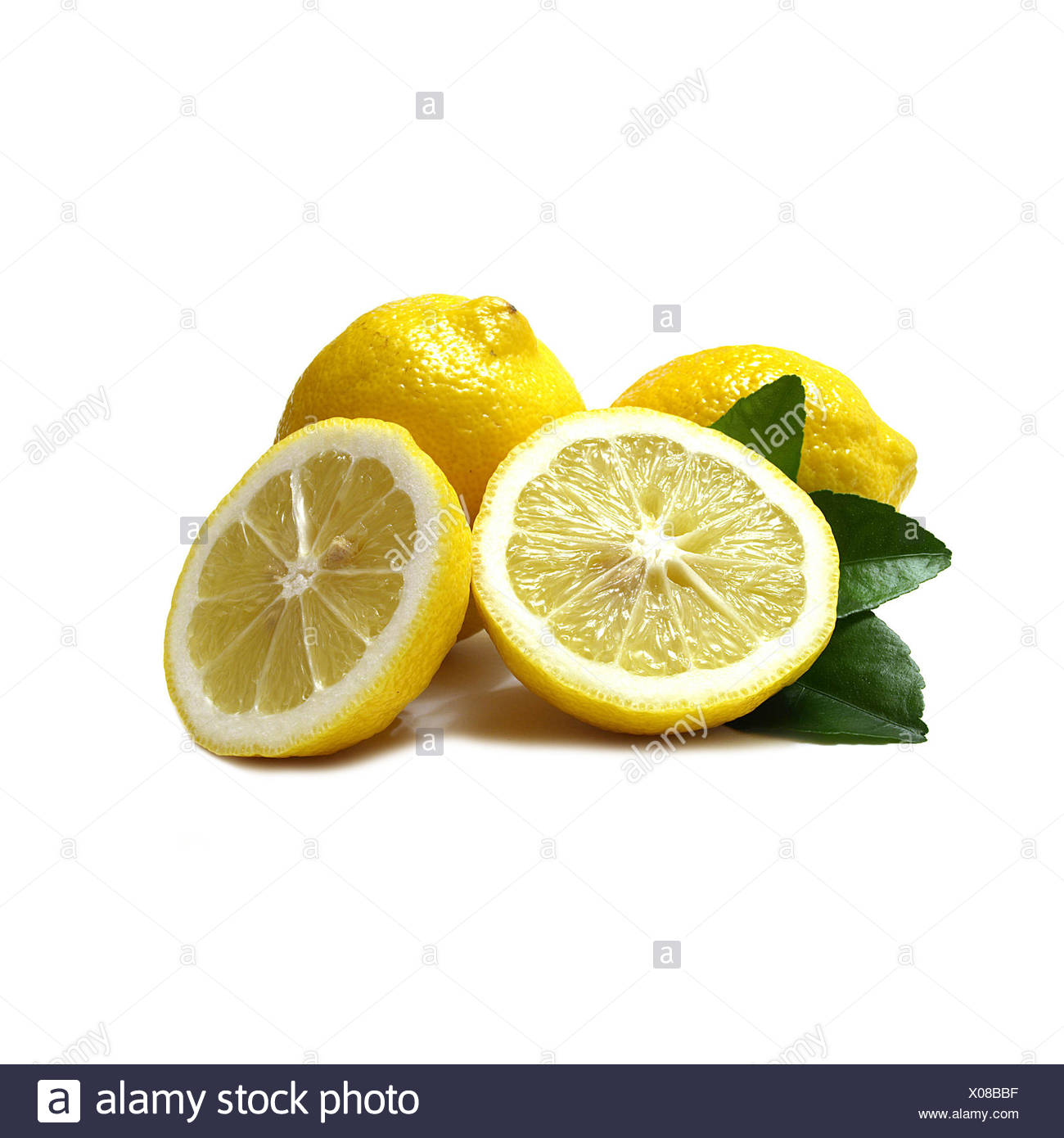 Lemmons High Resolution Stock Photography and Images - Alamy