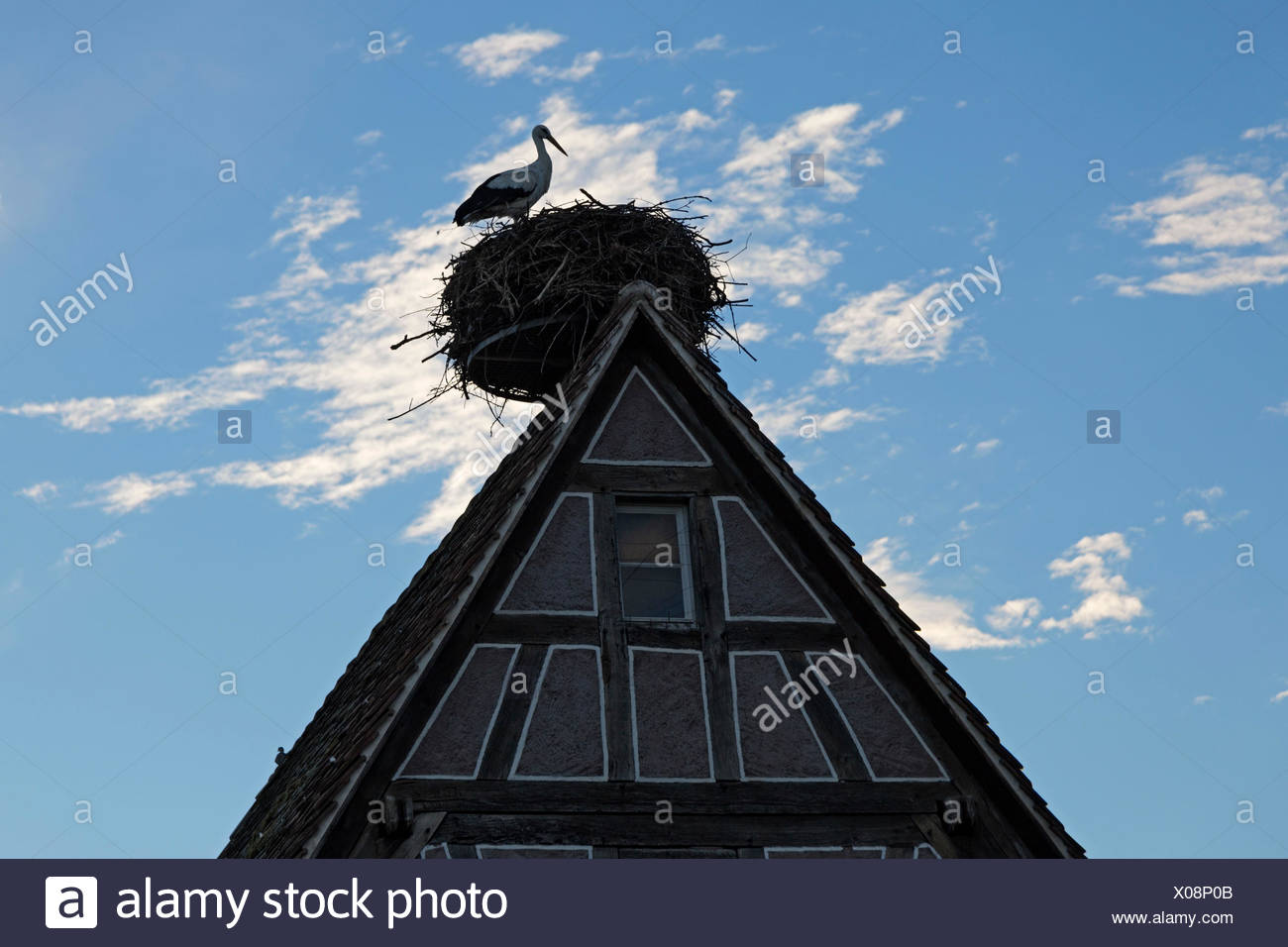 Stork Nest Alsace France High Resolution Stock Photography and Images ...