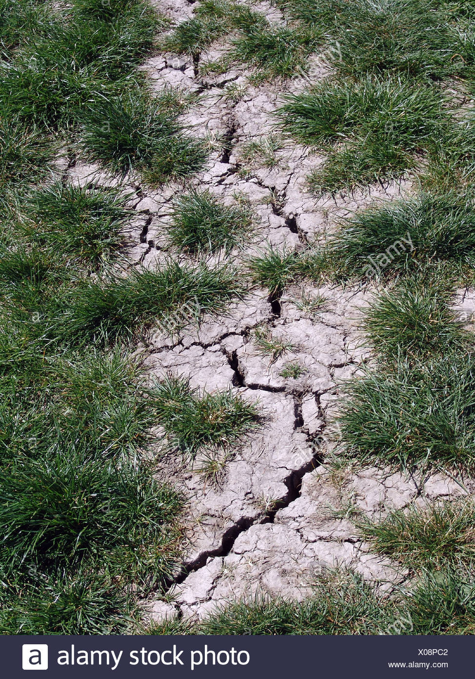 Dried Out Earth High Resolution Stock Photography and Images - Alamy