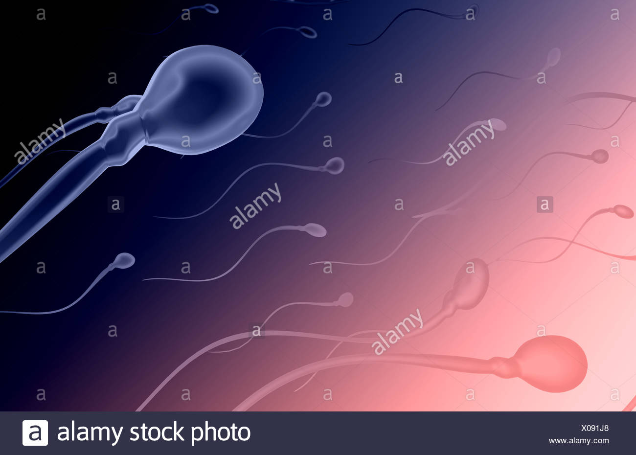 Human Sperm Cells Stock Photos & Human Sperm Cells Stock Images - Alamy