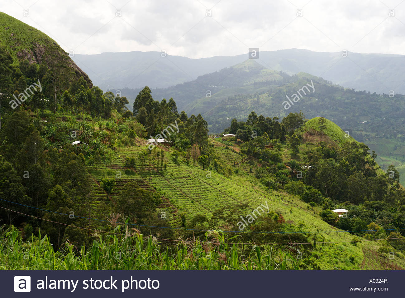 Bamenda High Resolution Stock Photography and Images - Alamy