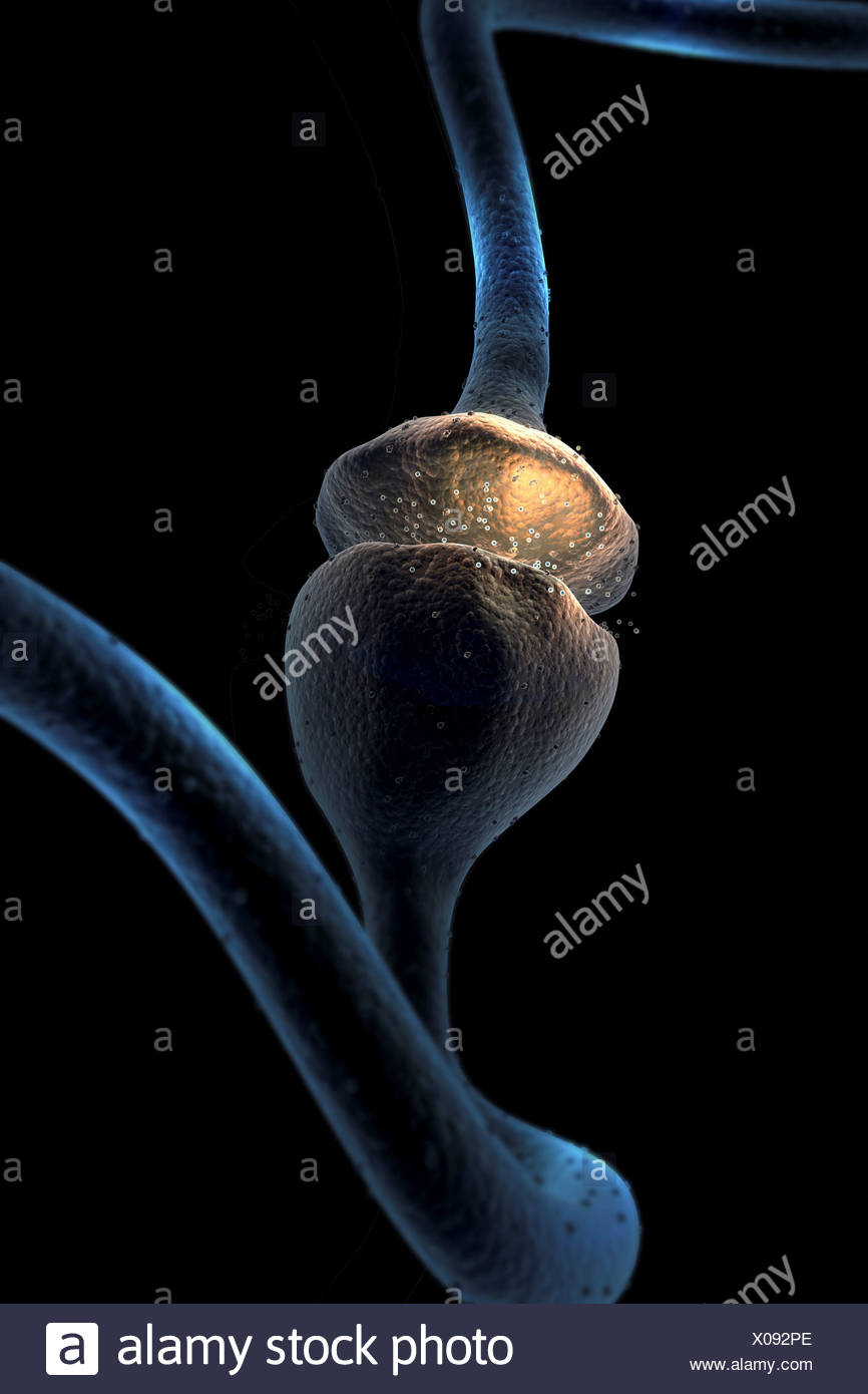 Microscopic Styled Visualization Synapse Stock Photos & Microscopic ...