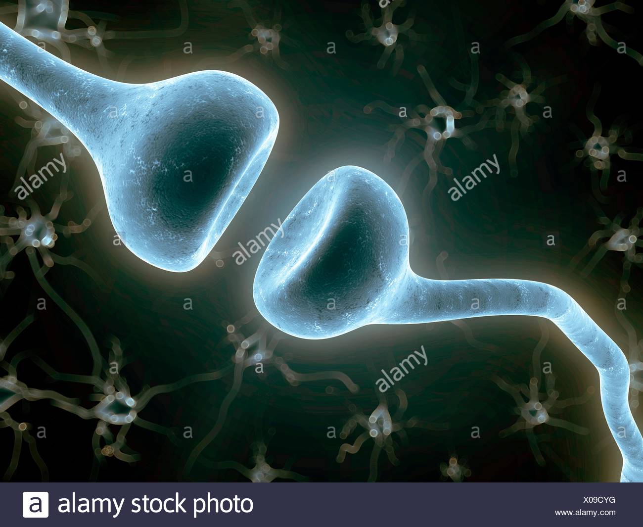 Synapse Stock Photos & Synapse Stock Images - Alamy