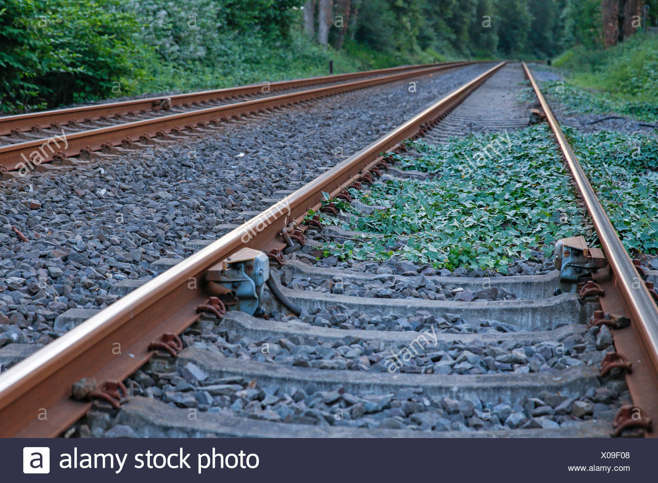 Eisenbahnschienen Schienen High Resolution Stock Photography and Images ...