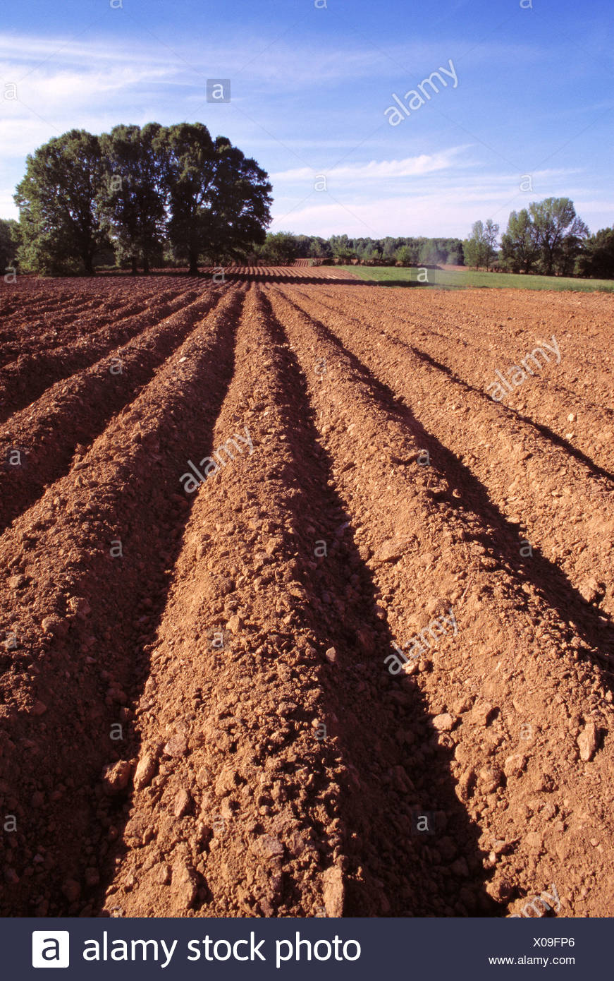 Furrow Ploughs Stock Photos & Furrow Ploughs Stock Images - Alamy