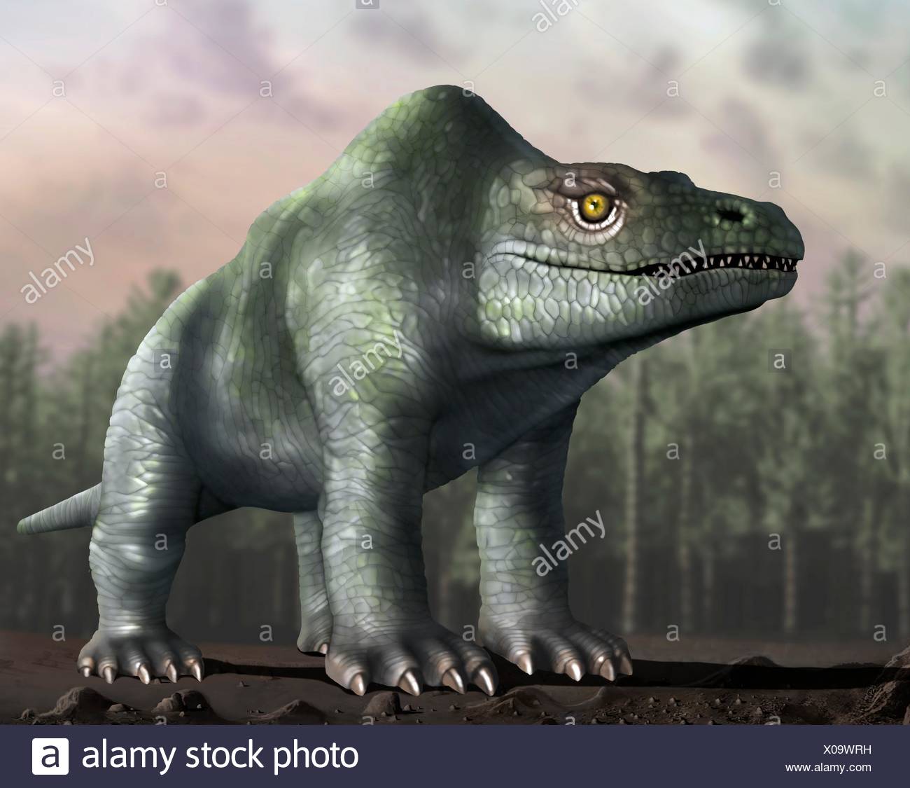 Medium Sized Theropod High Resolution Stock Photography and Images - Alamy