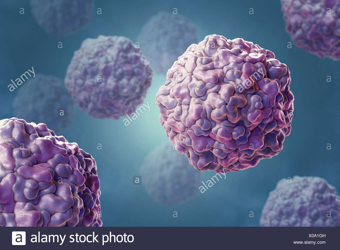 Picornaviridae Stock Photos & Picornaviridae Stock Images - Alamy