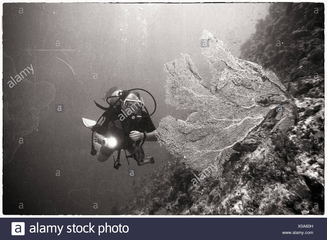 Vintage Diver Stock Photos & Vintage Diver Stock Images - Alamy