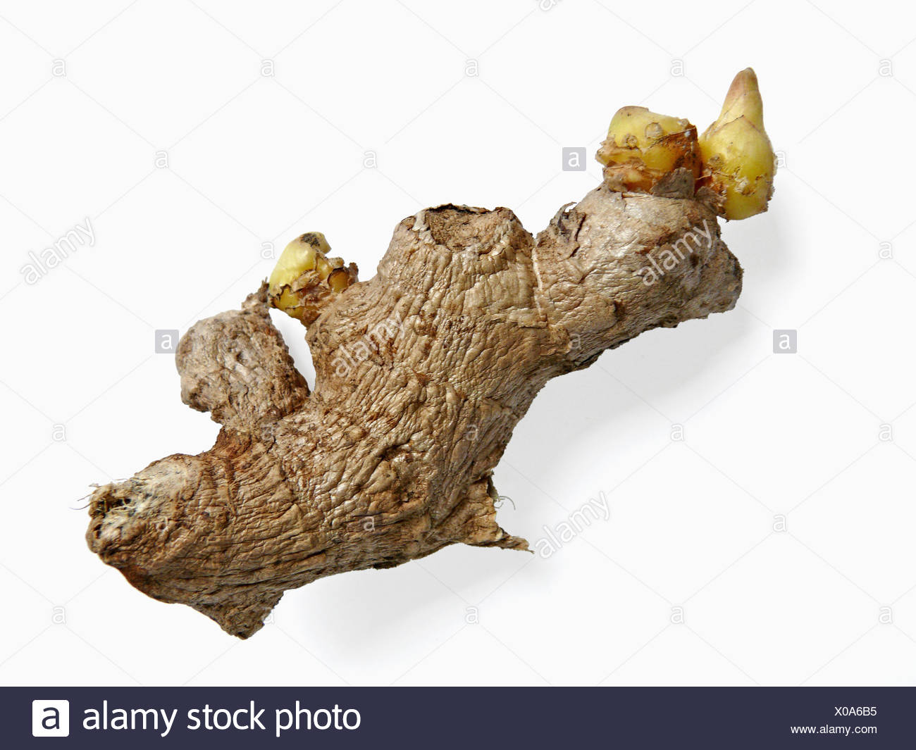 Rubefacient High Resolution Stock Photography and Images - Alamy