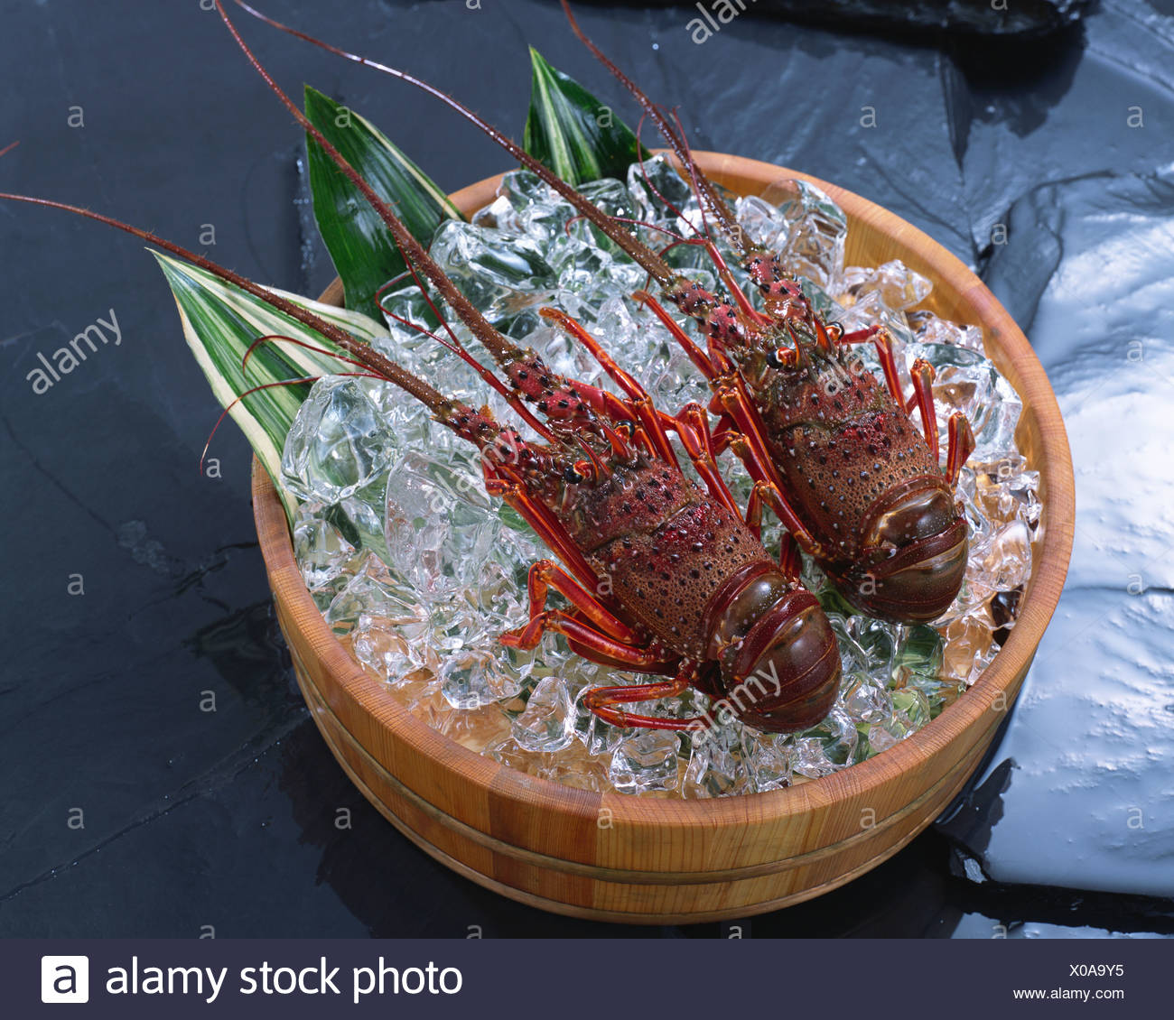 Bamboo Lobster Stock Photos & Bamboo Lobster Stock Images - Alamy