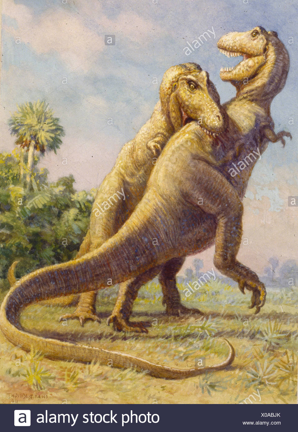 Tyrannosaurus Rex Stock Photos & Tyrannosaurus Rex Stock Images - Alamy