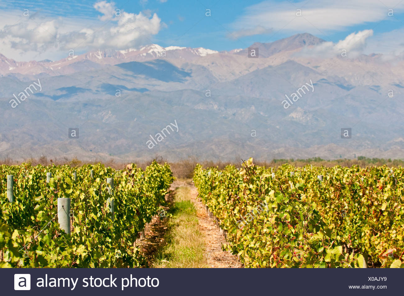 Argentina Mendoza High Resolution Stock Photography and Images - Alamy