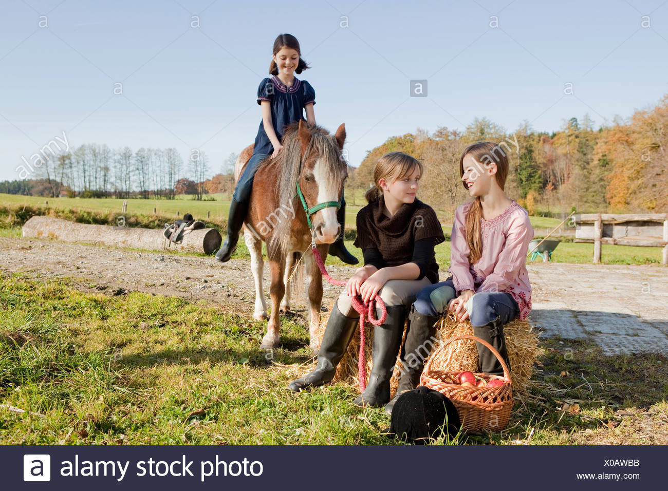 Stable Girls Stock Photos & Stable Girls Stock Images - Alamy