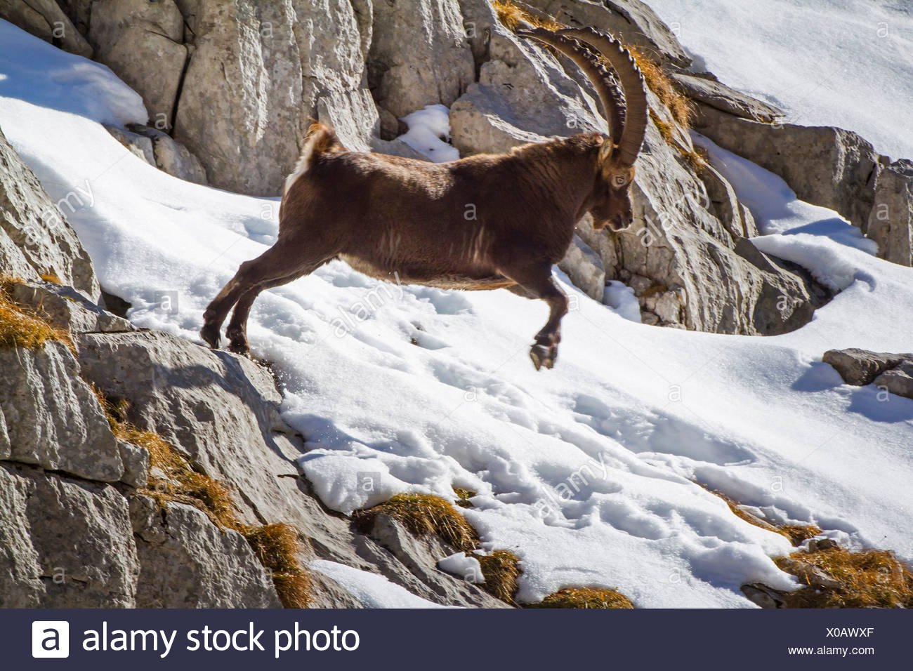 Escapes From Stock Photos & Escapes From Stock Images - Alamy