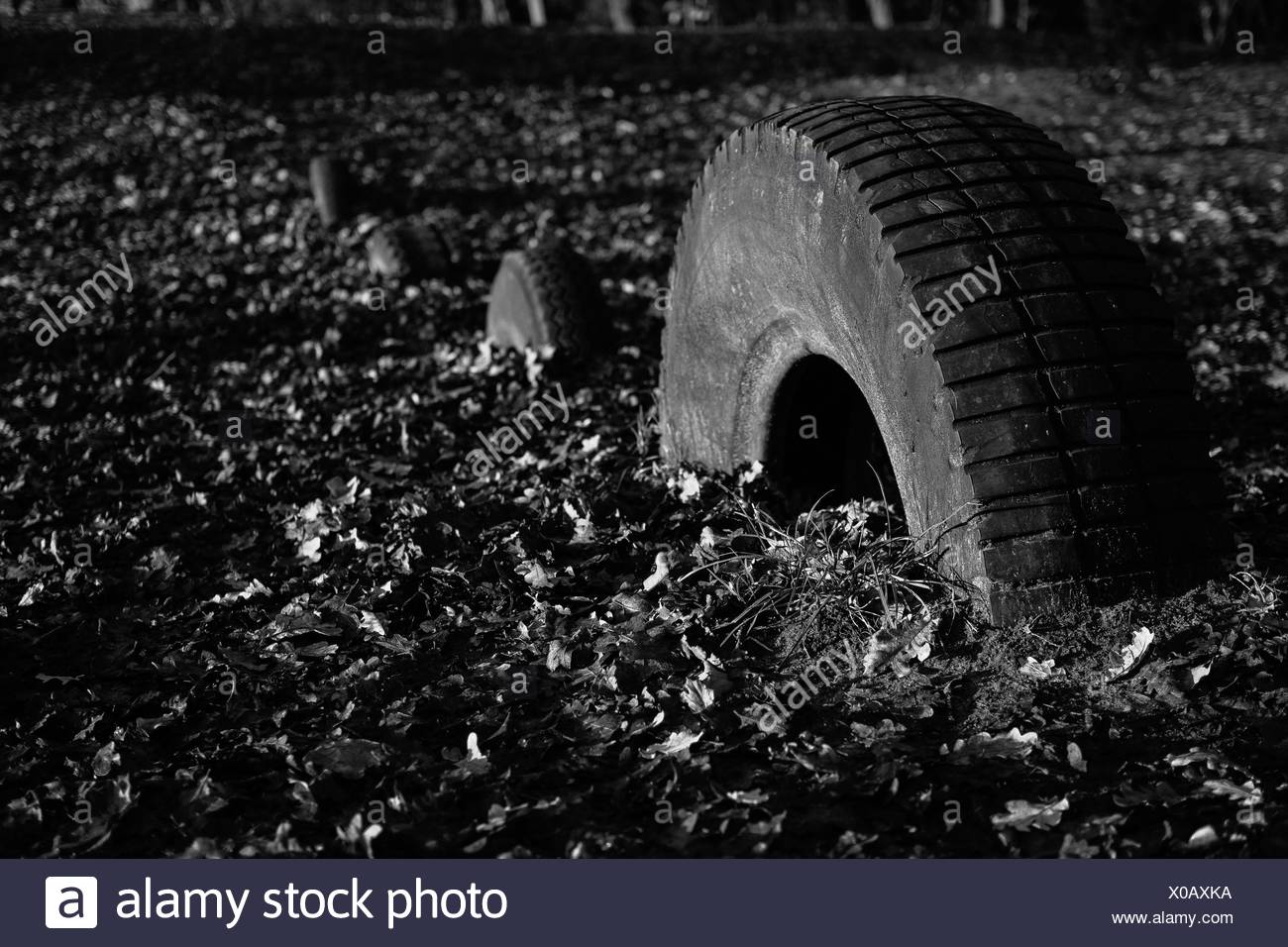 Buried In Mud High Resolution Stock Photography and Images - Alamy