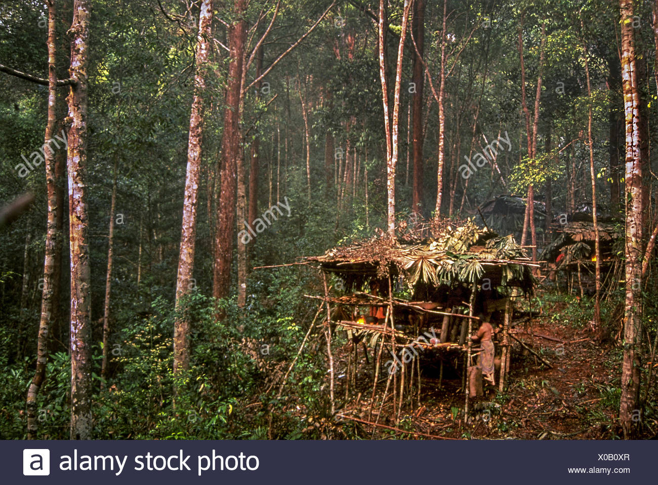 Hunter Gatherer Stock Photos & Hunter Gatherer Stock Images - Alamy