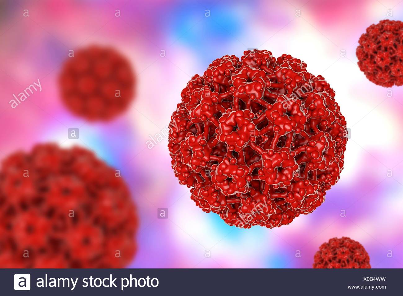 Hpv Warts Stock Photos & Hpv Warts Stock Images - Alamy