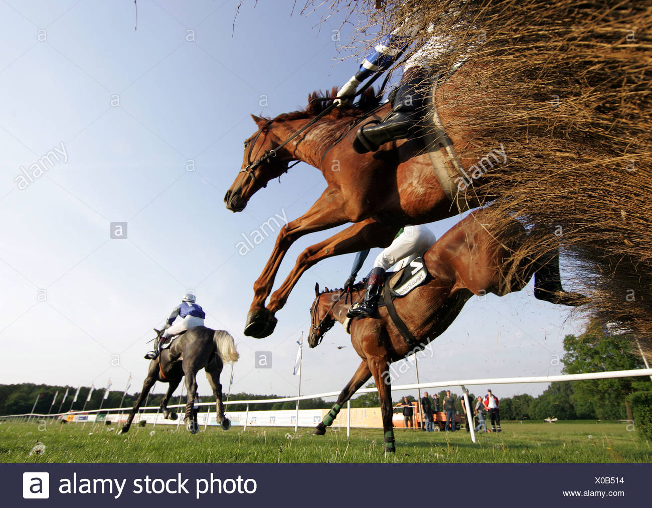 Hurdle High Resolution Stock Photography and Images - Alamy