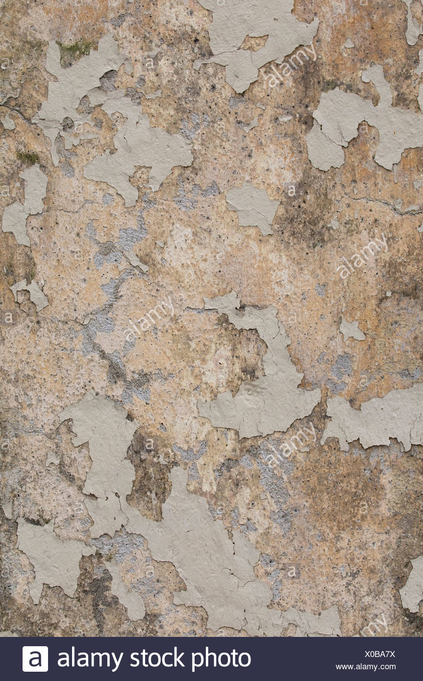 Plaster Wall Detail High Resolution Stock Photography and Images - Alamy