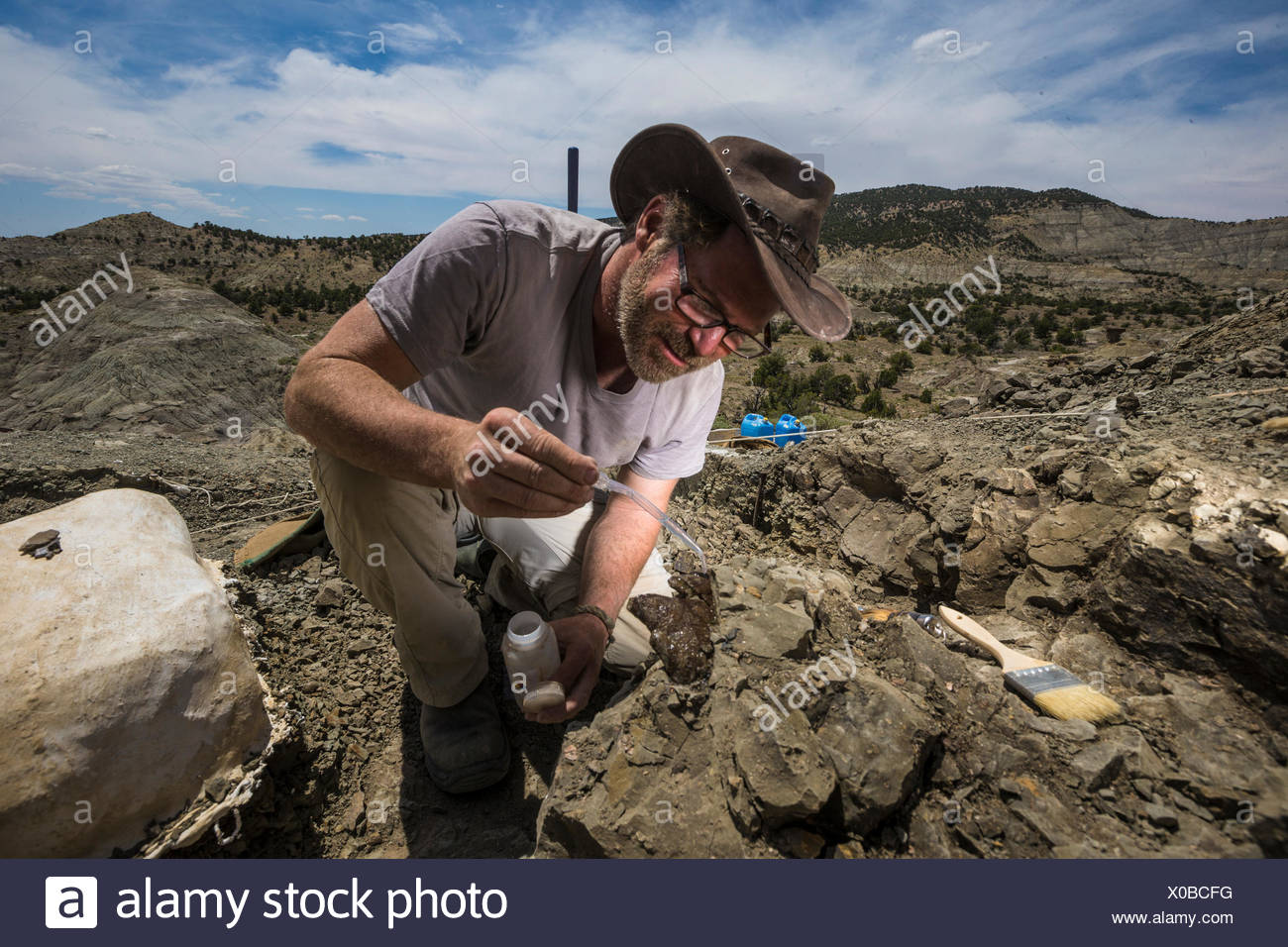 Paleontologist High Resolution Stock Photography and Images - Alamy