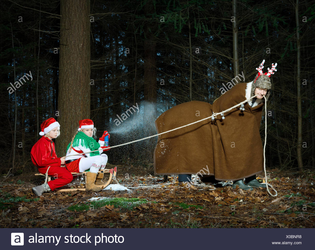 Adolescent Deer High Resolution Stock Photography and Images - Alamy