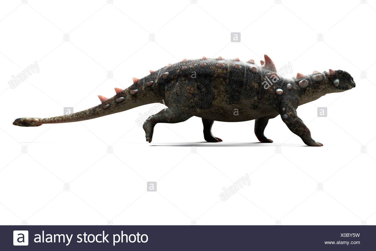 Euoplocephalus High Resolution Stock Photography and Images - Alamy